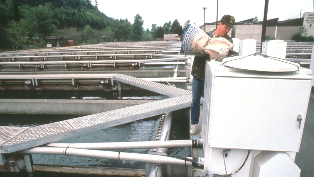 BPA funding cut leaves Oregon fisheries facing $2.4M gap