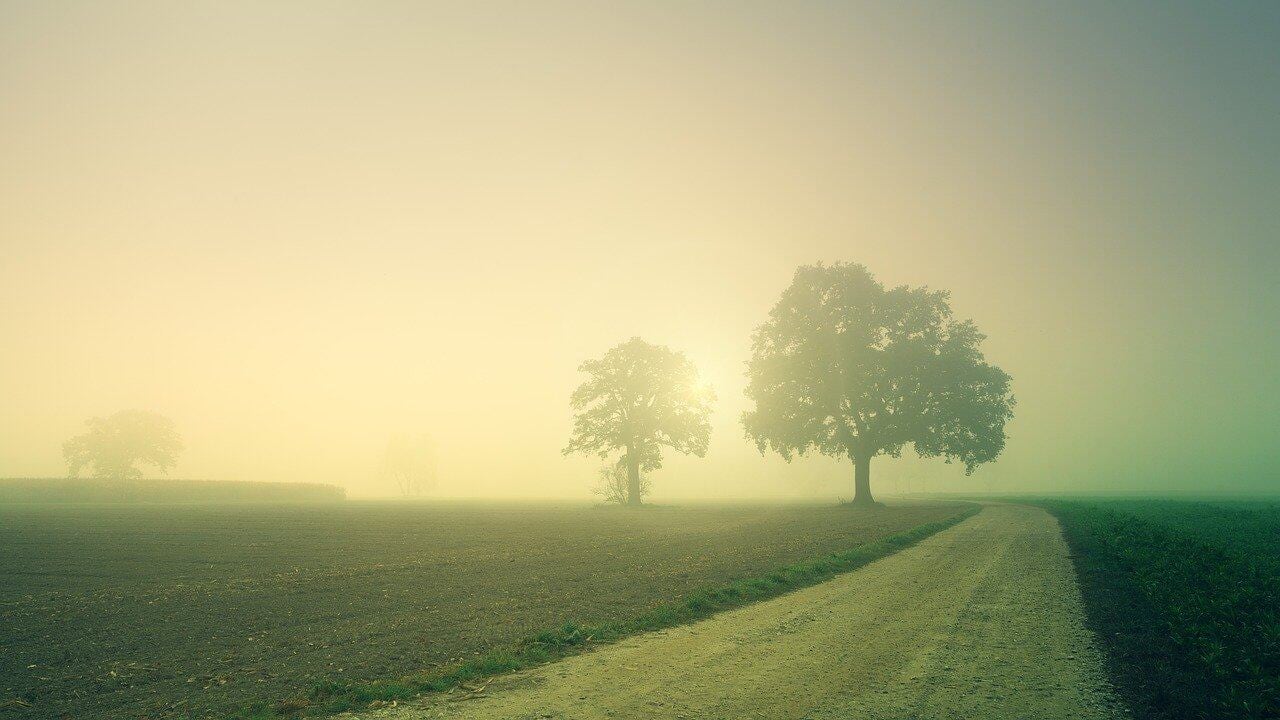 Foggy start to Tuesday before sunny skies for remainder of the day