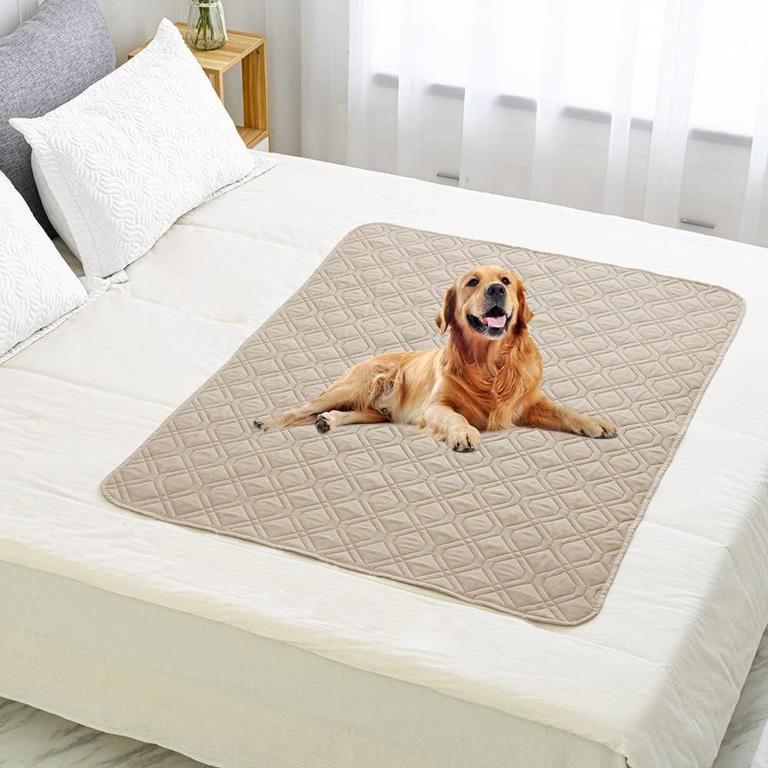 Amazon shoppers swear by this $15 waterproof blanket for summer travel ...