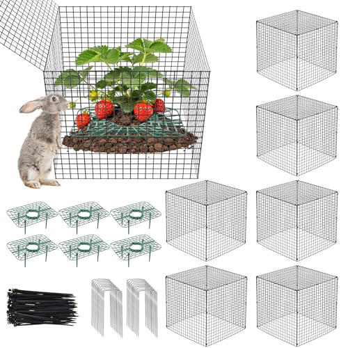 A strawberry cloche is the best way to stop birds eating your fruit and ...
