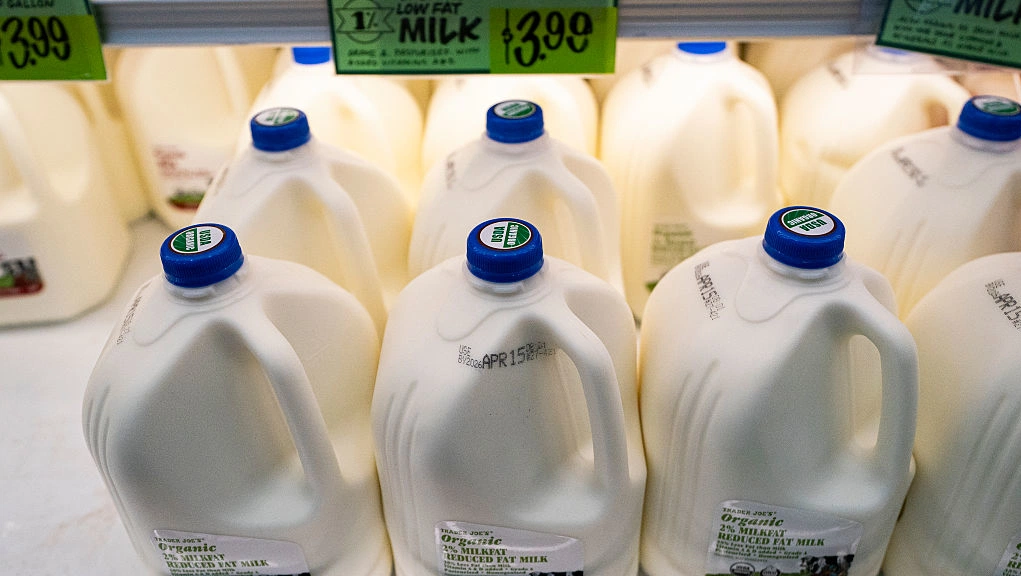 Finding your perfect milk match for health