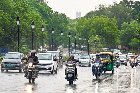 Study finds Aravalli Biodiversity Park can help tap rainwater