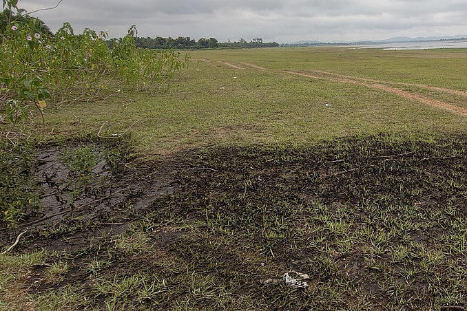 Business units turn Kabini backwaters into waste dumping site