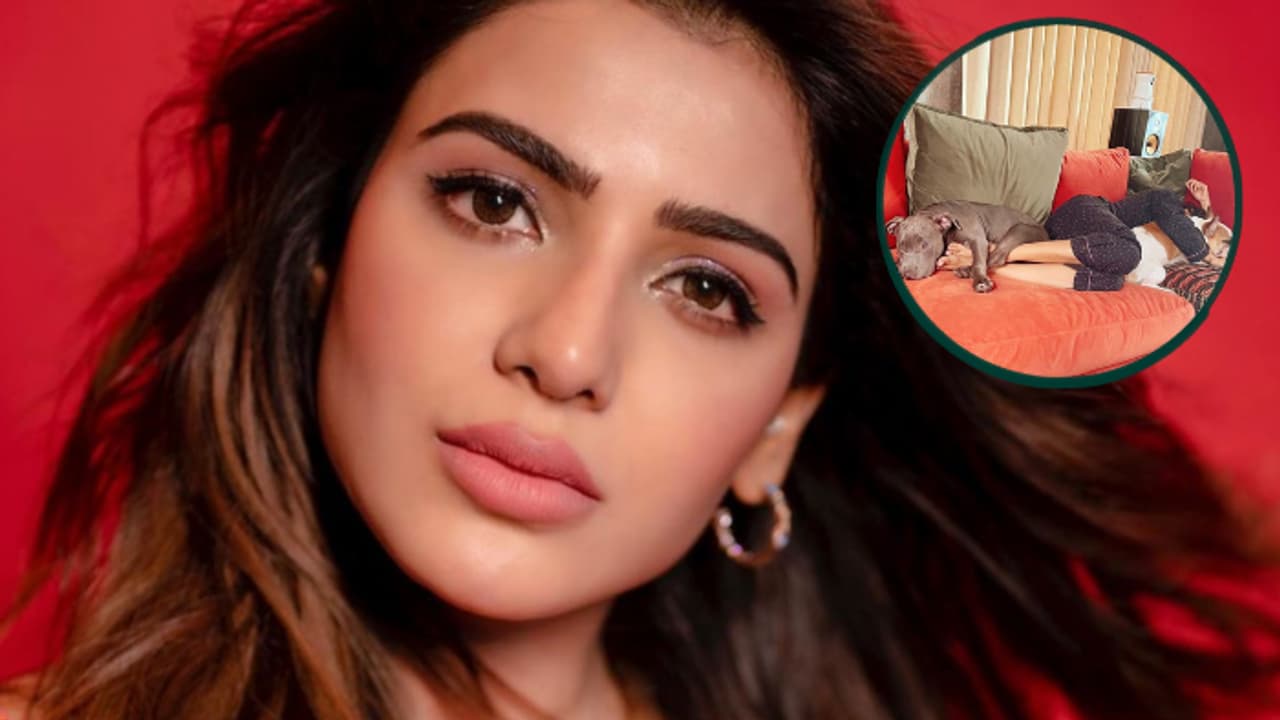 Inside Samantha Ruth Prabhu's swanky Jubilee Hills mansion in Hyderabad ...