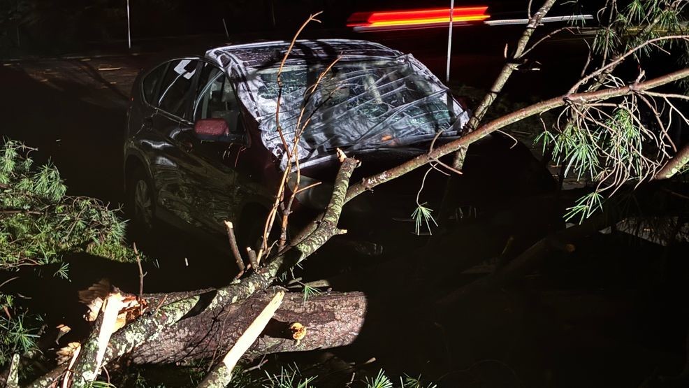 See it: Storm causes numerous downed trees and wires in Burke, Va.