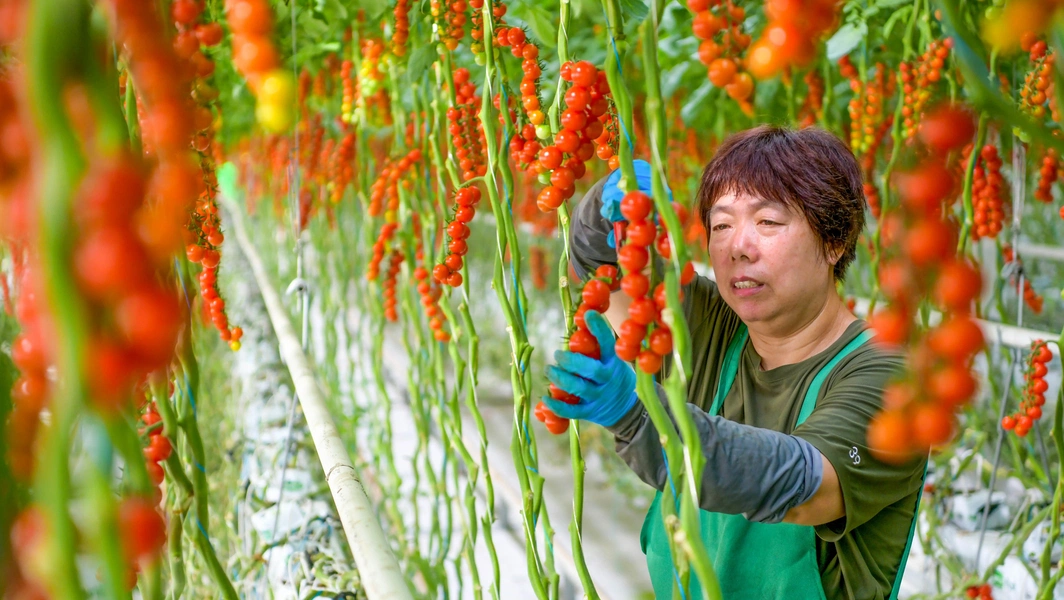 22 fruits and vegetables shaped by human cultivation