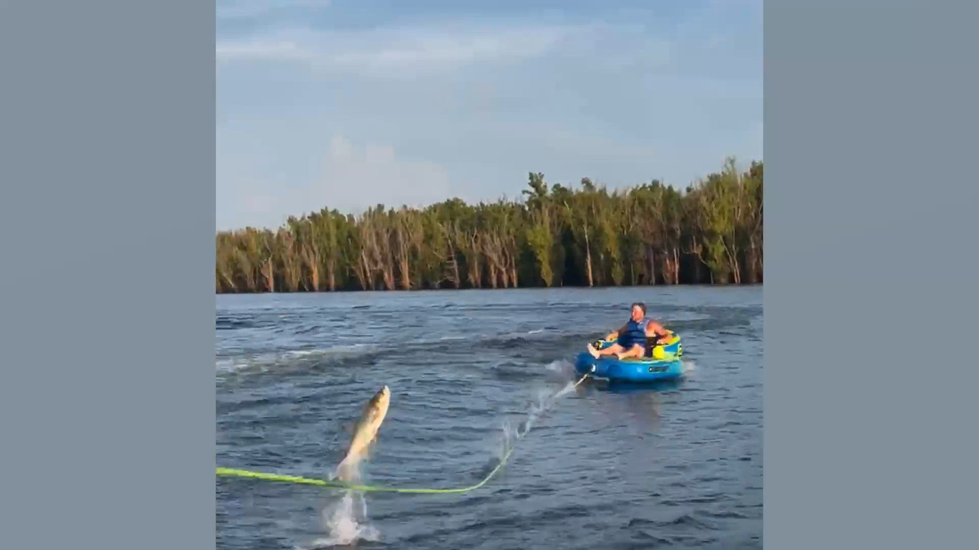 Best summer fails