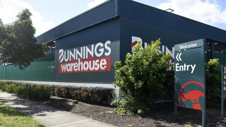 Renewed calls to ban invasive plants from being sold at Bunnings and ...