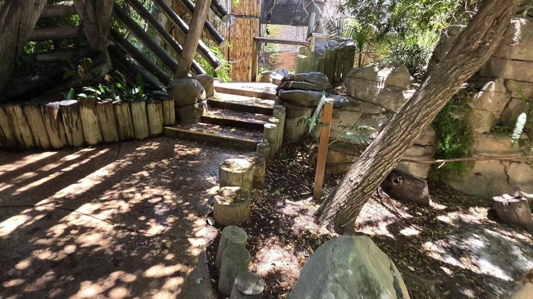 Petition urges zoo board to restore tropical rainforest aviary as ...