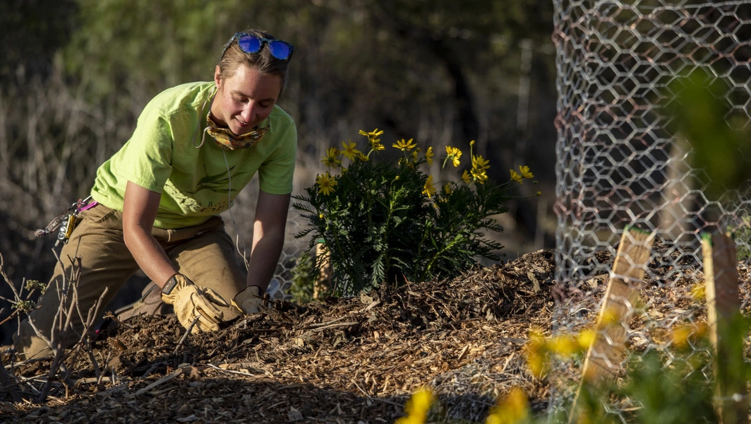 Practical strategies for year-round weed control