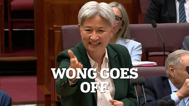 Penny Wong lashes out during question time at the Senate meeting