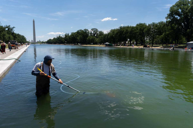 Trump announces 6 arrests over Reflecting Pool vandalism, reveals '350 ...