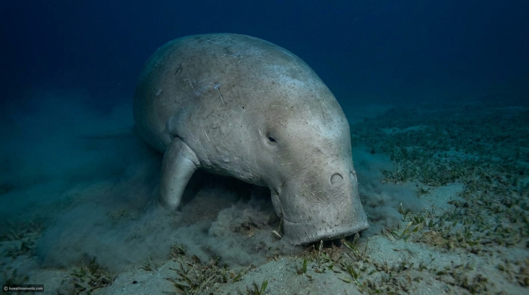 180-million-year-old deep-sea discovery could rewrite microbial history