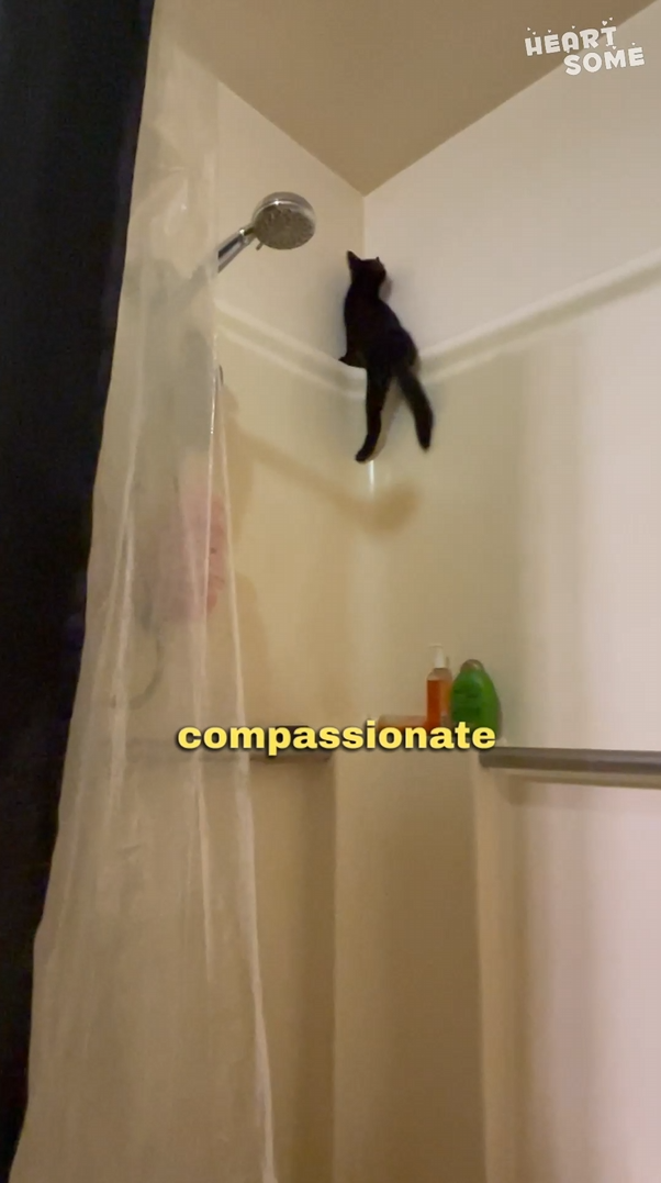 Feral cat finally trusts her touch and the moment is beautiful