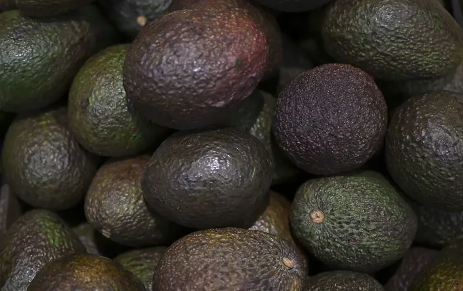 High-fiber foods your gut will thank you for