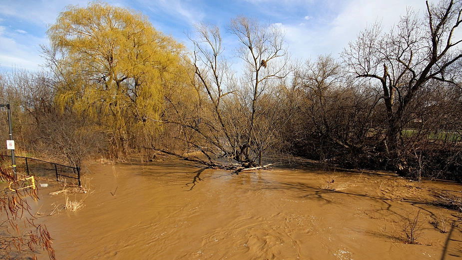 Heavy rains and viral 'bucket of doom' trend drive mosquito control rush