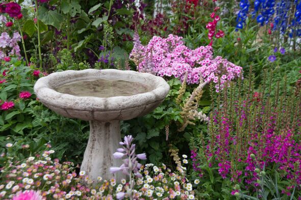 UK gardeners with bird baths in garden urged to move them before Wednesday