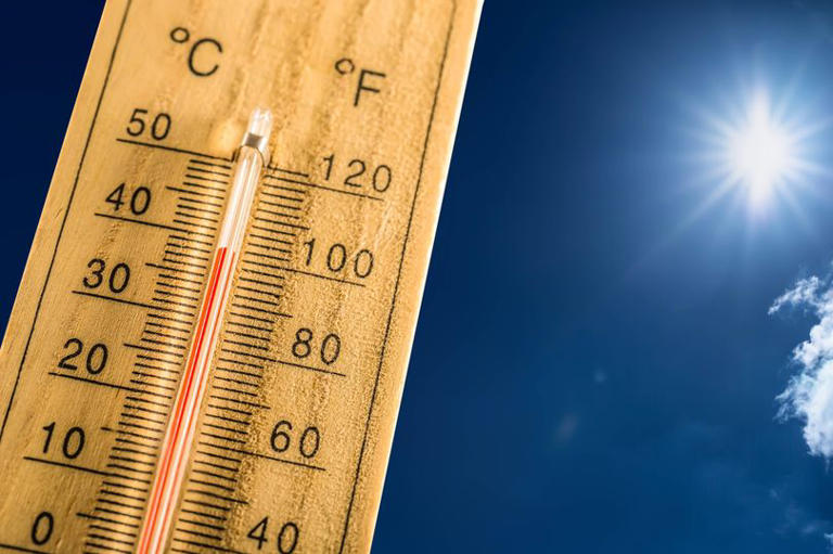 Dudley bin collections altered in response to red alert heatwave
