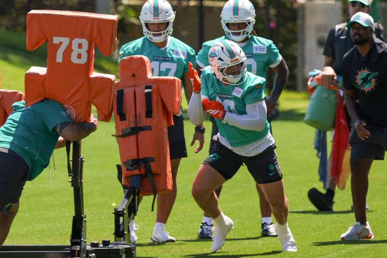 Power couple: He's Miami Dolphins LB. She's a Black Hawk pilot | Habib