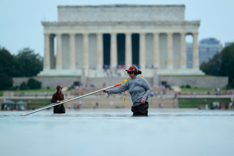 Reflecting Pool death toll surges as more dead ducks pulled from water