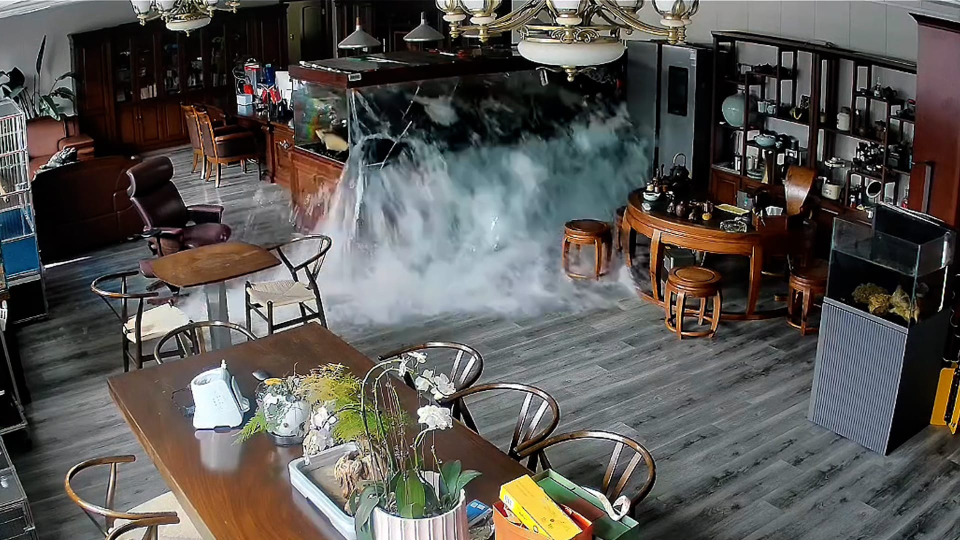 Moment large fish tank explodes causing $42k of damage