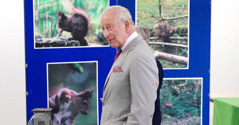 King Charles has an unexpected bumper sticker on his car — and it says ...