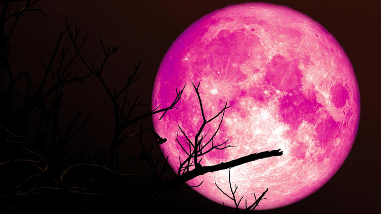 The 'strawberry moon' returns next week. Here's what it means for your ...
