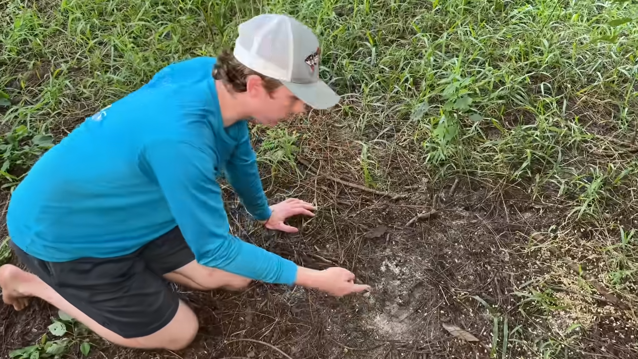They thought the big enclosure was empty, then found a living dinosaur ...