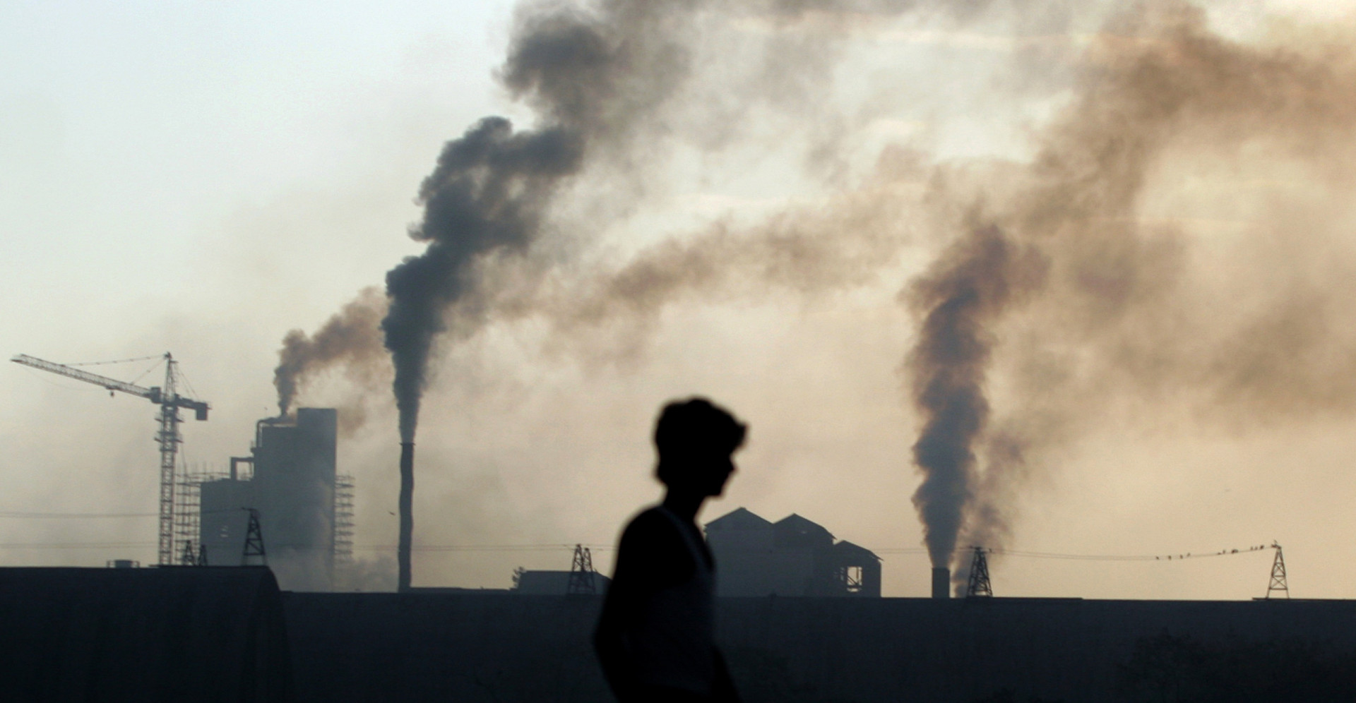 Are we in the middle of a mass extinction?