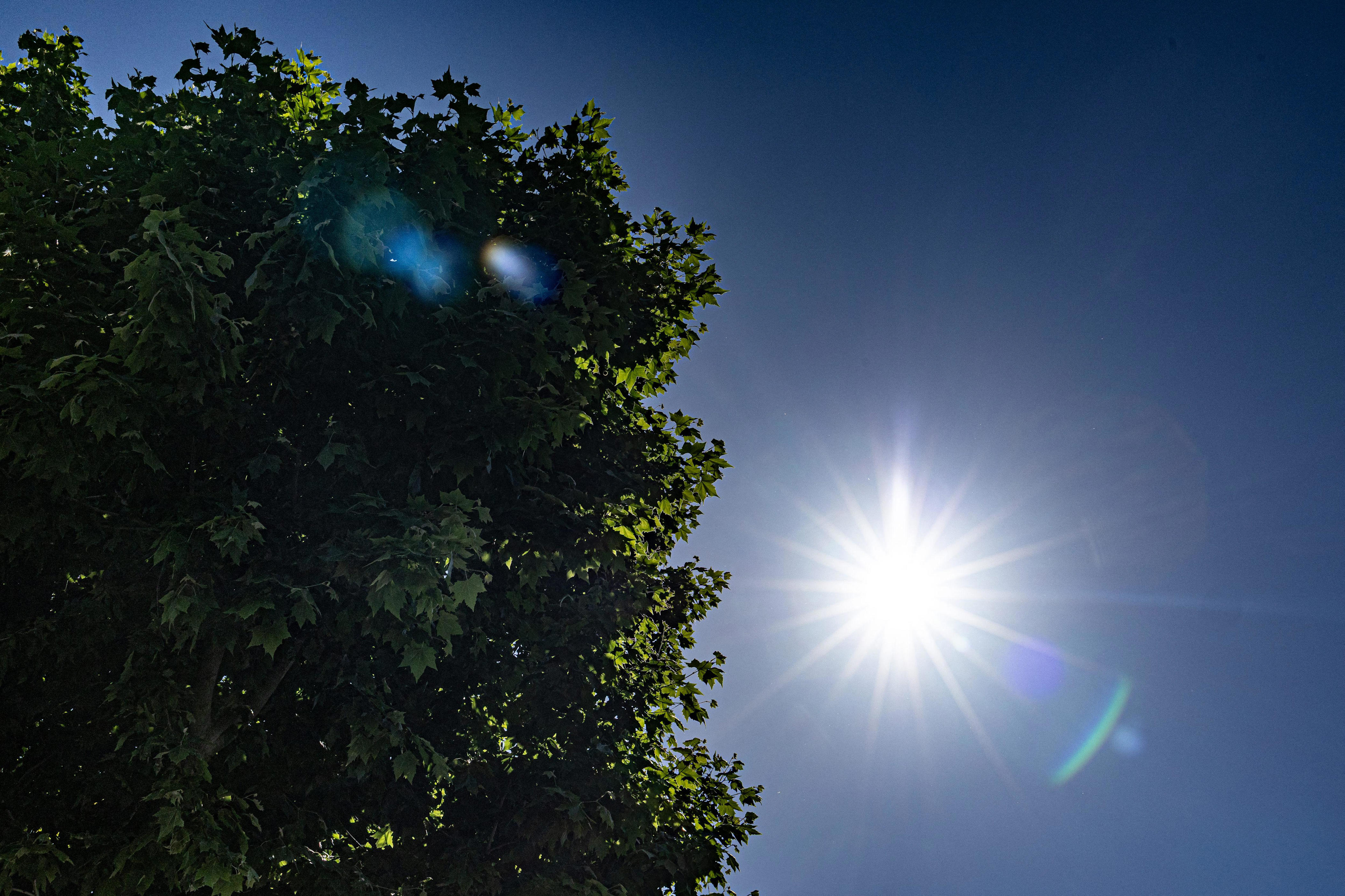 Sun, sweat & sizzle in San Diego