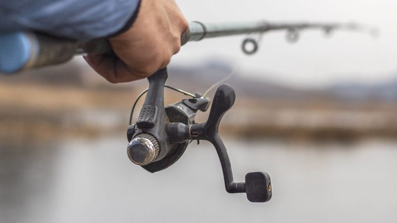 One boy’s request sparked a fishing day for dozens of kids with special ...