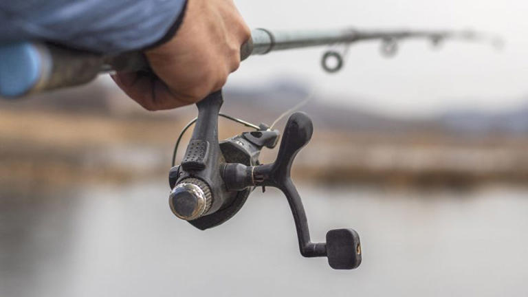 One boy’s request sparked a fishing day for dozens of kids with special ...