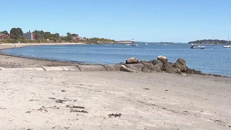 Understanding beach bacteria advisories in coastal waters