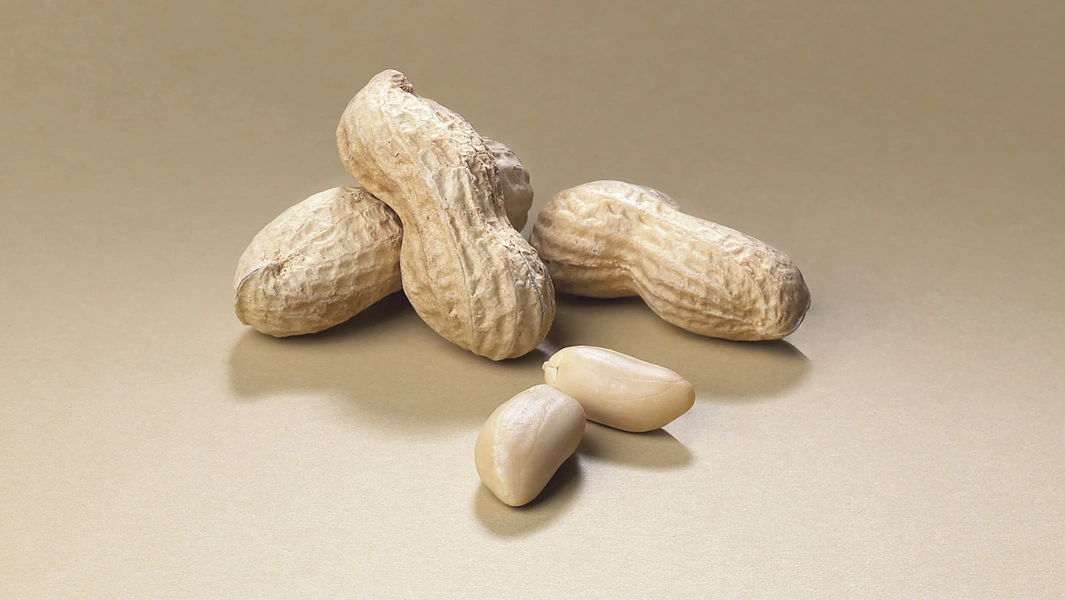Peanuts' role in brain and heart health