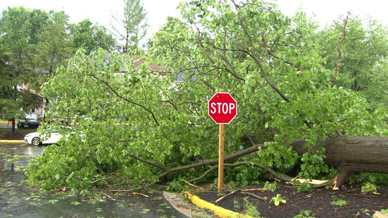 Residents across DMV wake to storm damage, power outages as more ...