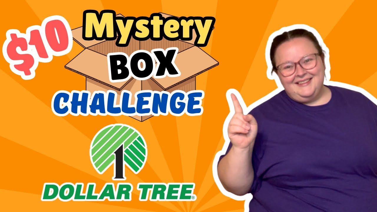 $10 mystery box challenge Dollar Tree edition cooking with surprise ...