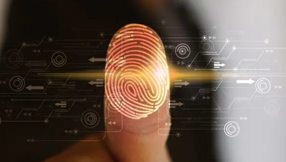 How to safeguard your identity: 3 practical tips from First Bank