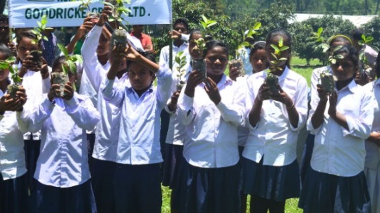 Assam's tea garden education landscape transformed with 218 model ...
