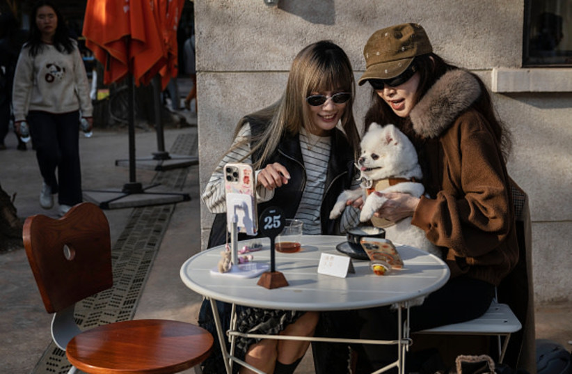 New kind of school: China's dog owners splurge on preschools to pamper ...