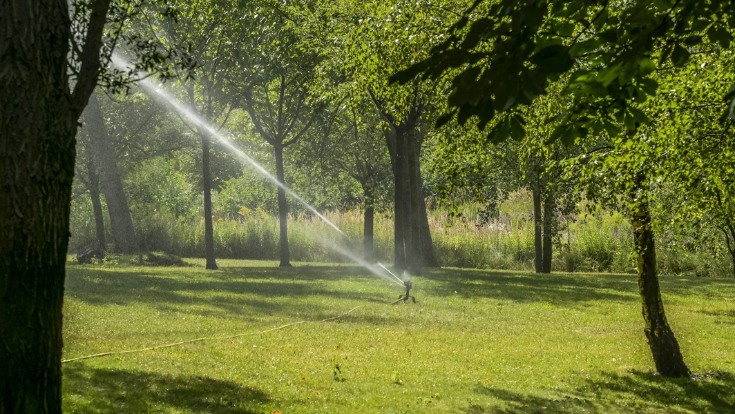 Optimal lawn watering practices for healthy growth