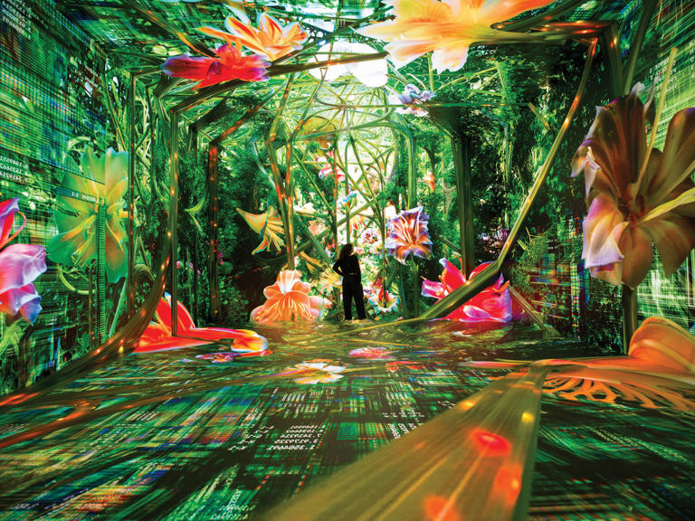 World's first AI art museum has a strange way of honoring rainforest