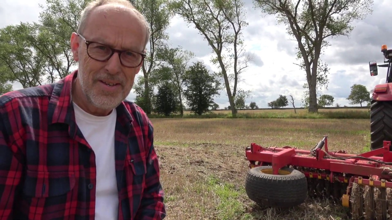 How does an old grain shed dry wet wheat?