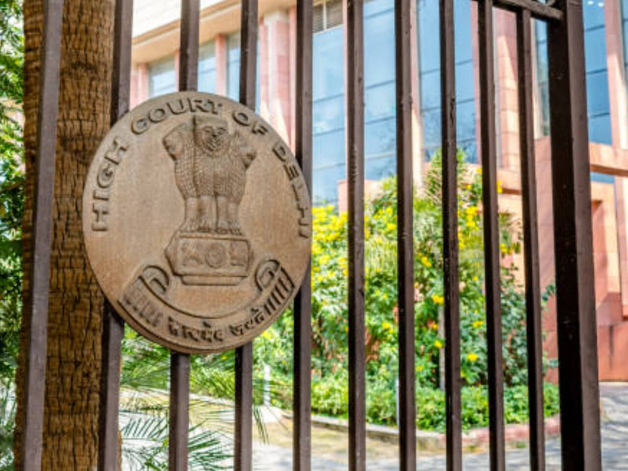 Delhi High Court reaffirms AITA General Body's authority in ...