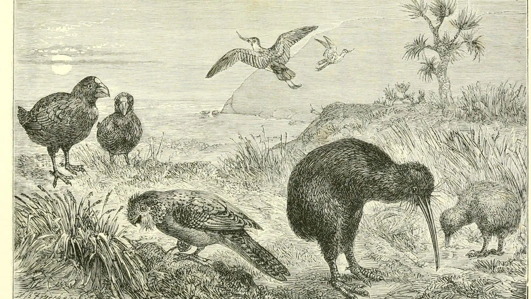 Million-year-old New Zealand cave fossils reveal pre-human extinctions