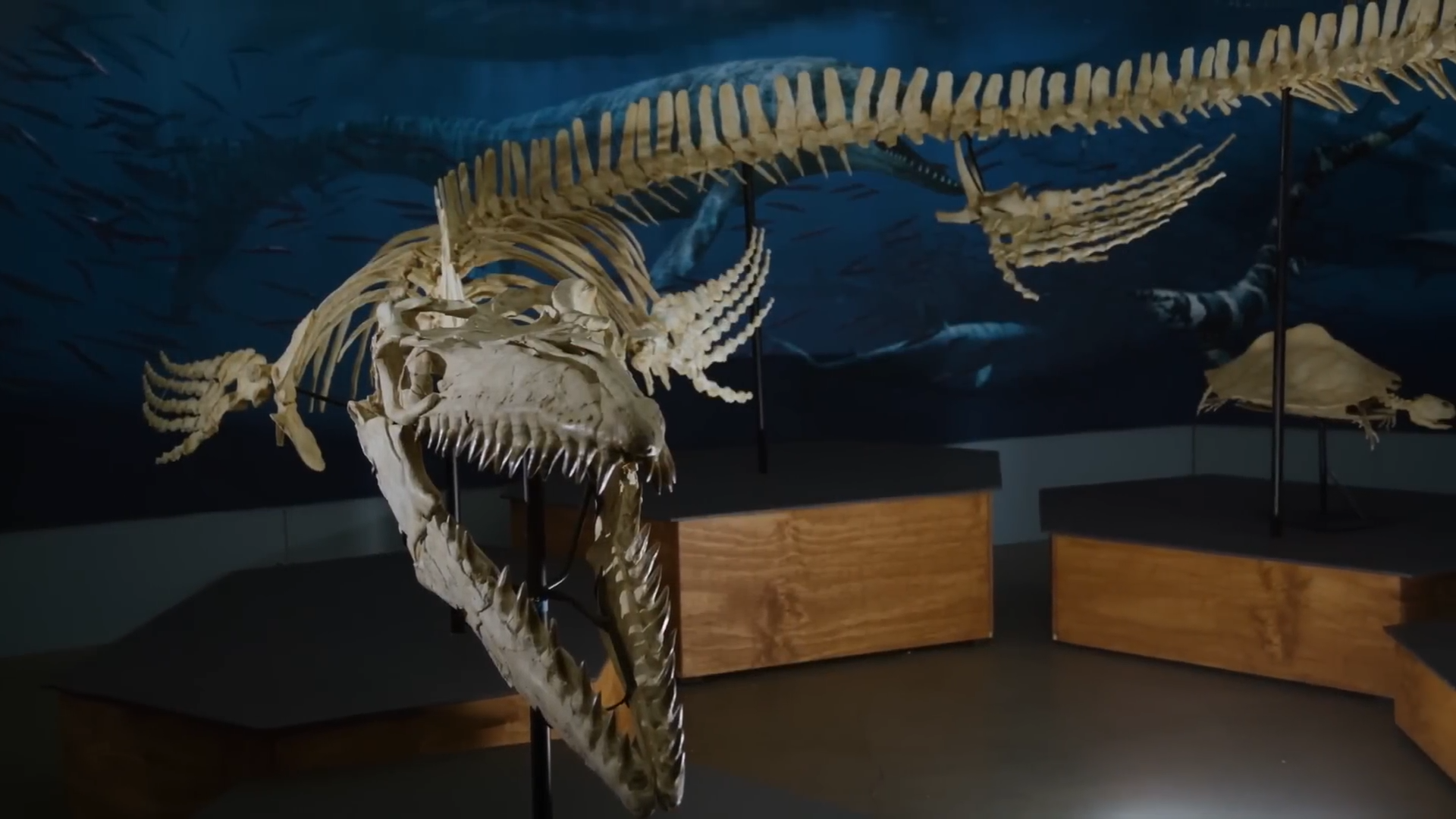 Welche Dinosaurier waren Genies - und welche wurden völlig missverstanden?