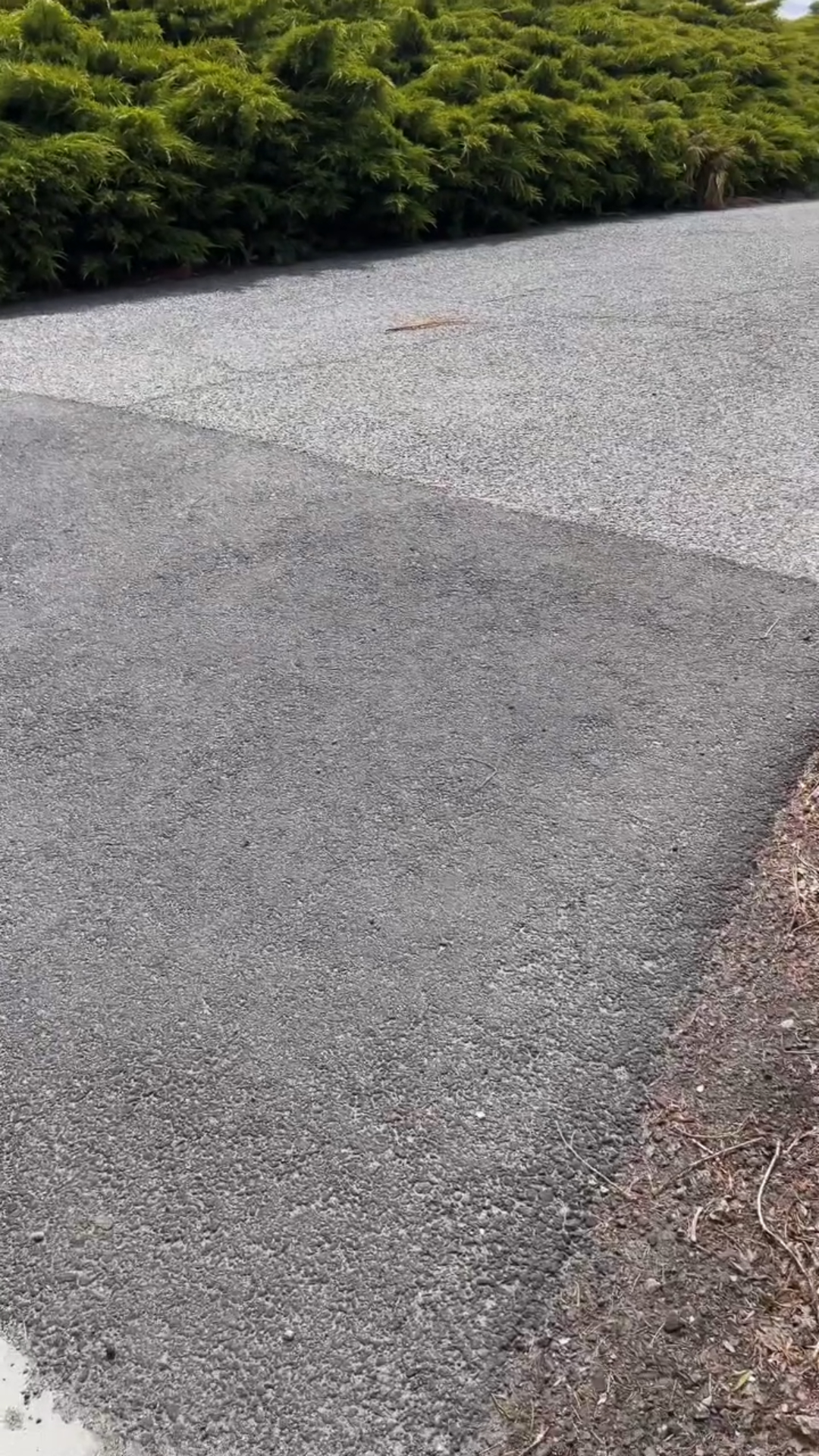Neighbors crossing private driveway
