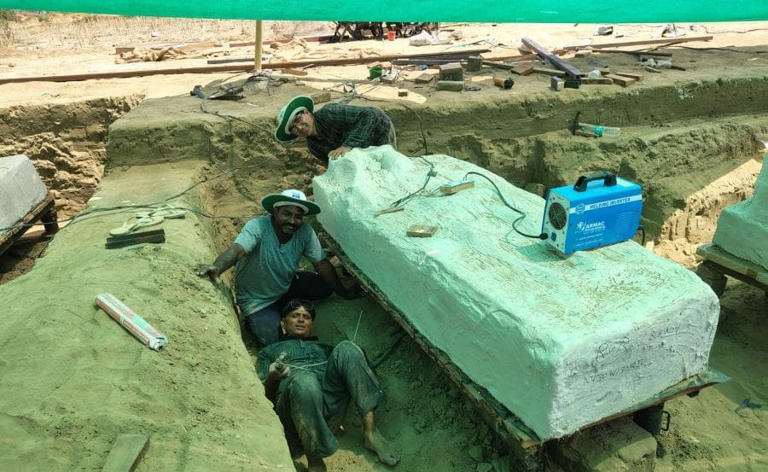Raising a Harappan skeleton from grave without losing history. A UP man ...