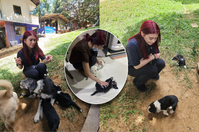 BINI Mikha adopts rescued puppy: 'I knew you'd bring the brightest ...