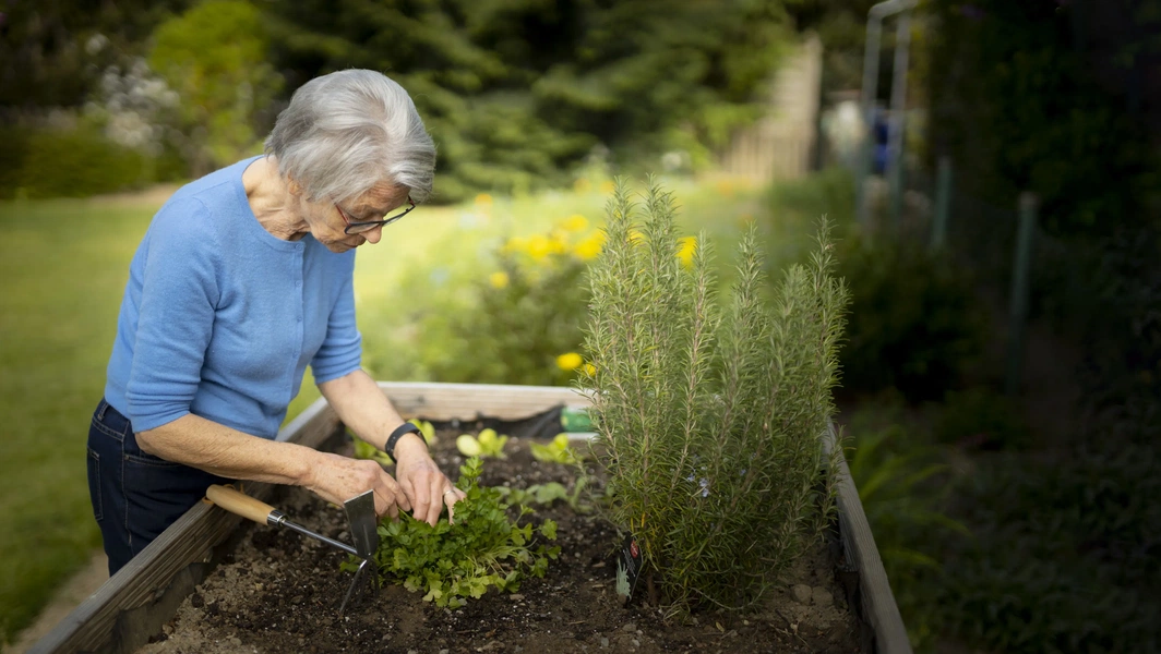 Hobbies and habits linked to slower brain aging in older adults