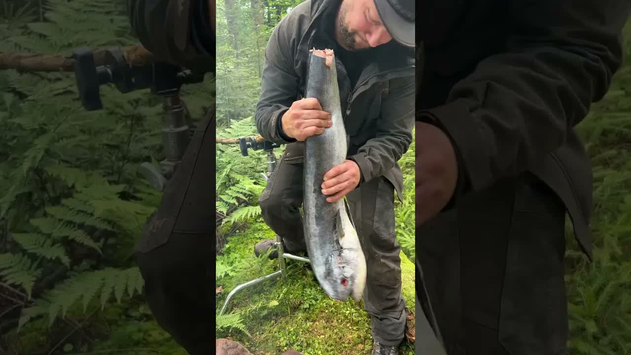 How to ruin a perfect Mahi Mahi in 3 seconds?